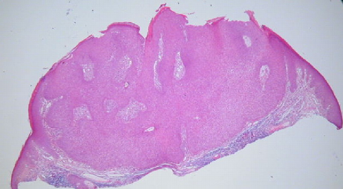 JOURNAL OF THE ROYAL MEDICAL SERVICES