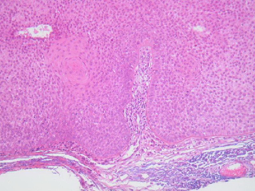 JOURNAL OF THE ROYAL MEDICAL SERVICES